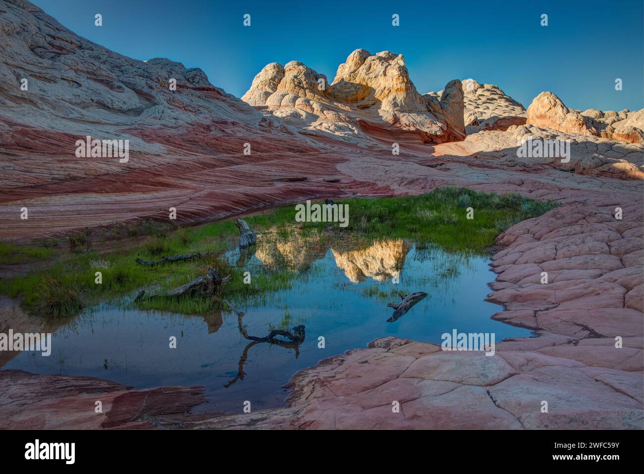 The Citadel reflected in an ephemeral pool in the White Pocket ...