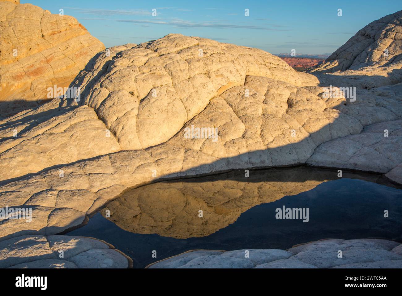 Brain rock reflected in an ephemeral pool in the White Pocket ...
