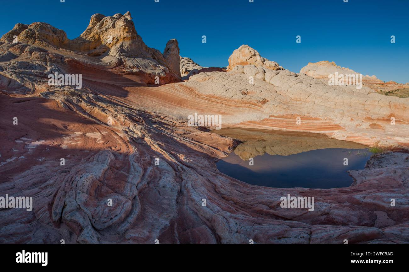 Brain rock reflected in an ephemeral pool in the White Pocket ...