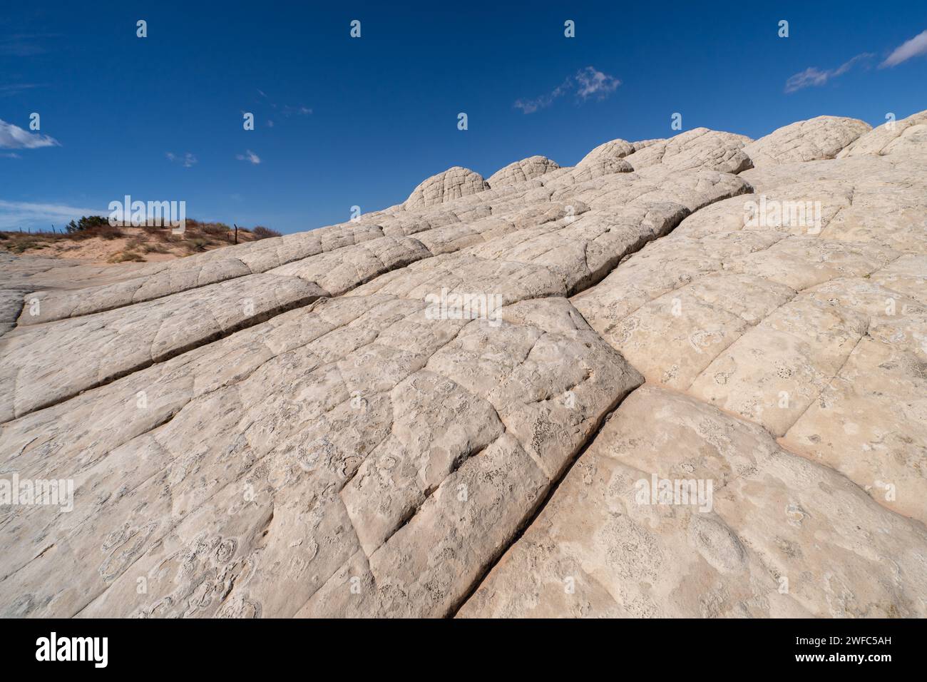 White pillow rock or brain rock sandstone in the White Pocket ...