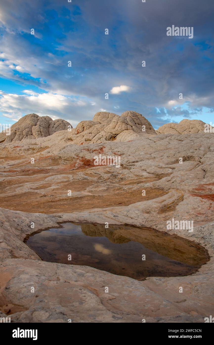 Reflection in an ephemeral pool in the White Pocket Recreation Area ...