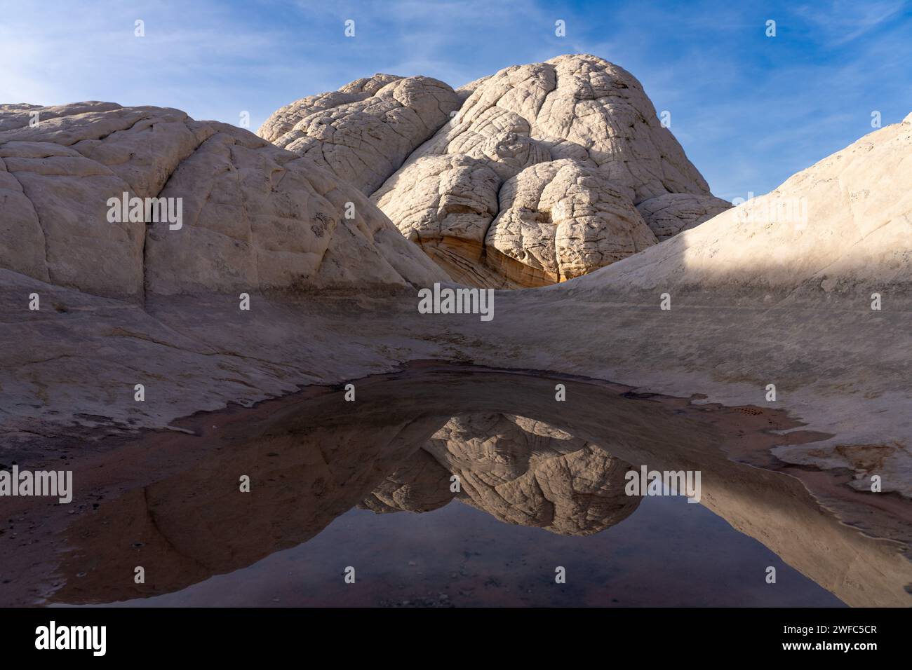 Brain rock reflected in an ephemeral pool in the White Pocket ...