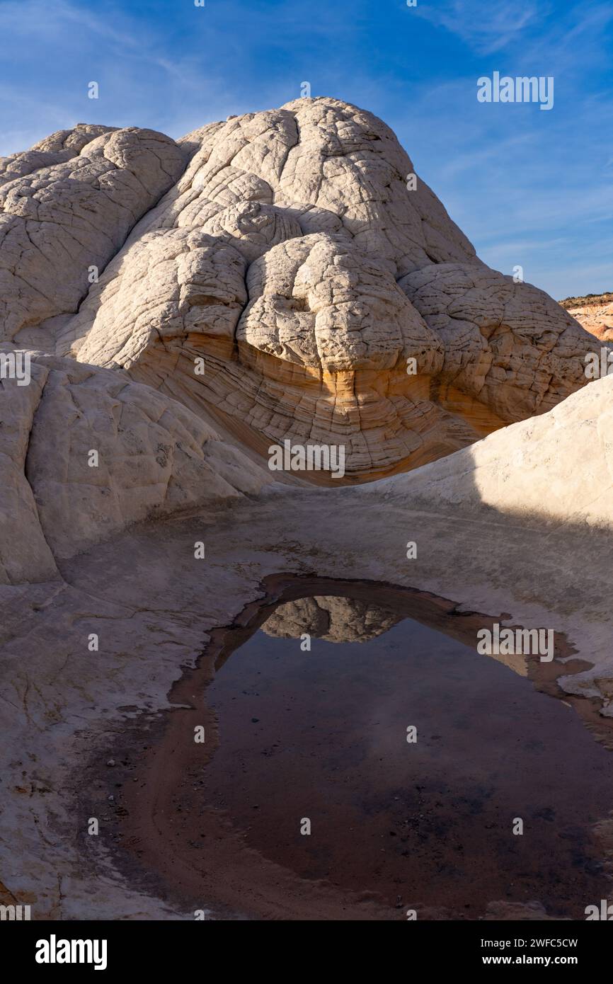 Brain rock reflected in an ephemeral pool in the White Pocket ...