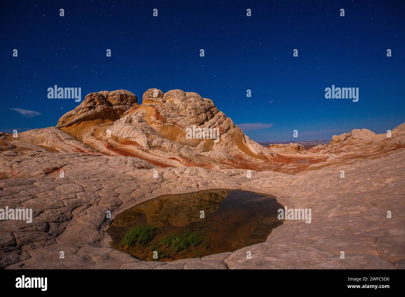 Stars over the colorful moonlit sandstone in the White Pocket ...