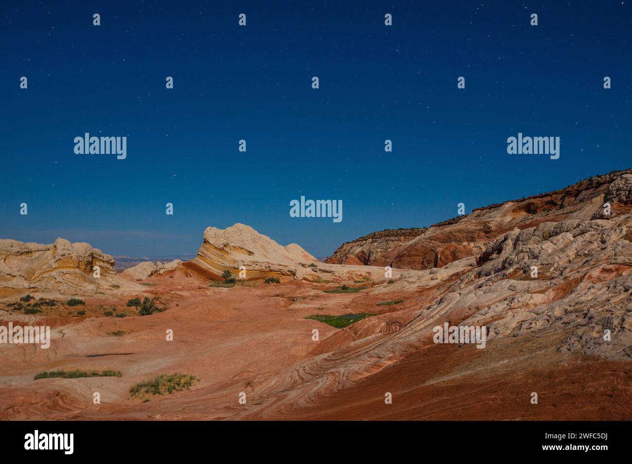 Stars over the colorful moonlit sandstone in the White Pocket ...