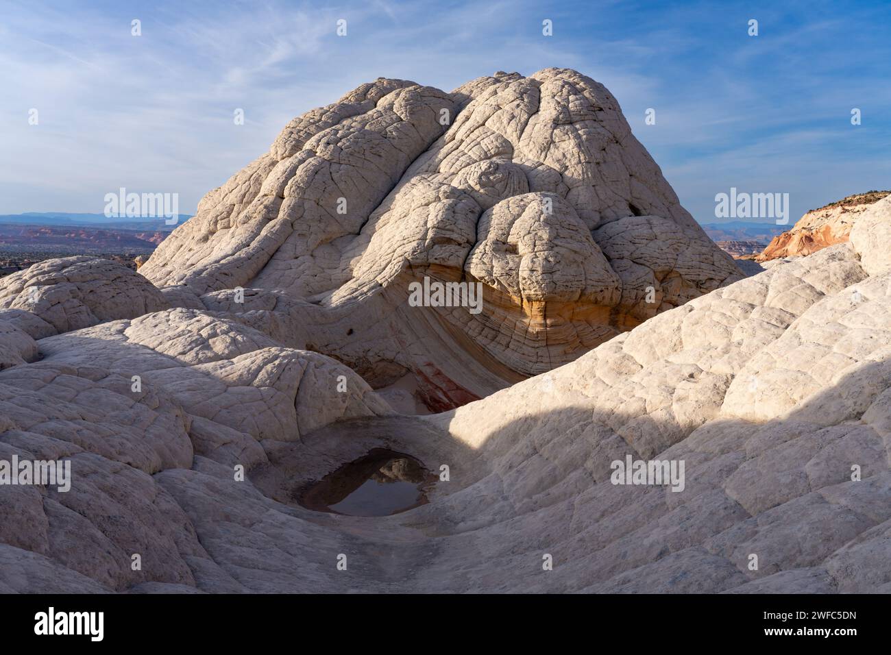 Brain rock reflected in an ephemeral pool in the White Pocket ...