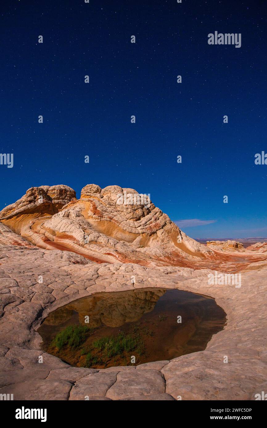 Stars over the colorful moonlit sandstone in the White Pocket ...