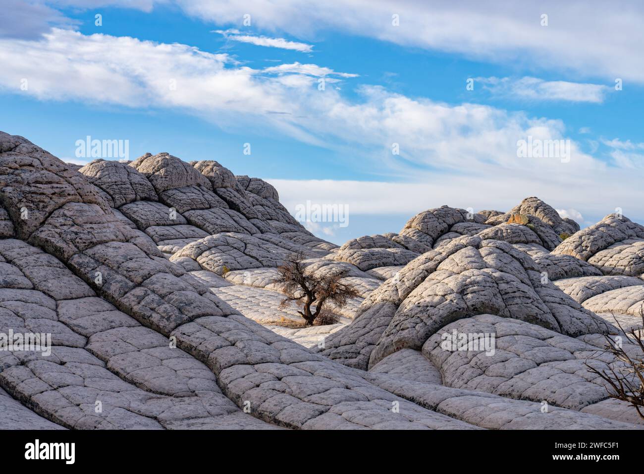 White pillow rock or brain rock sandstone in the White Pocket ...