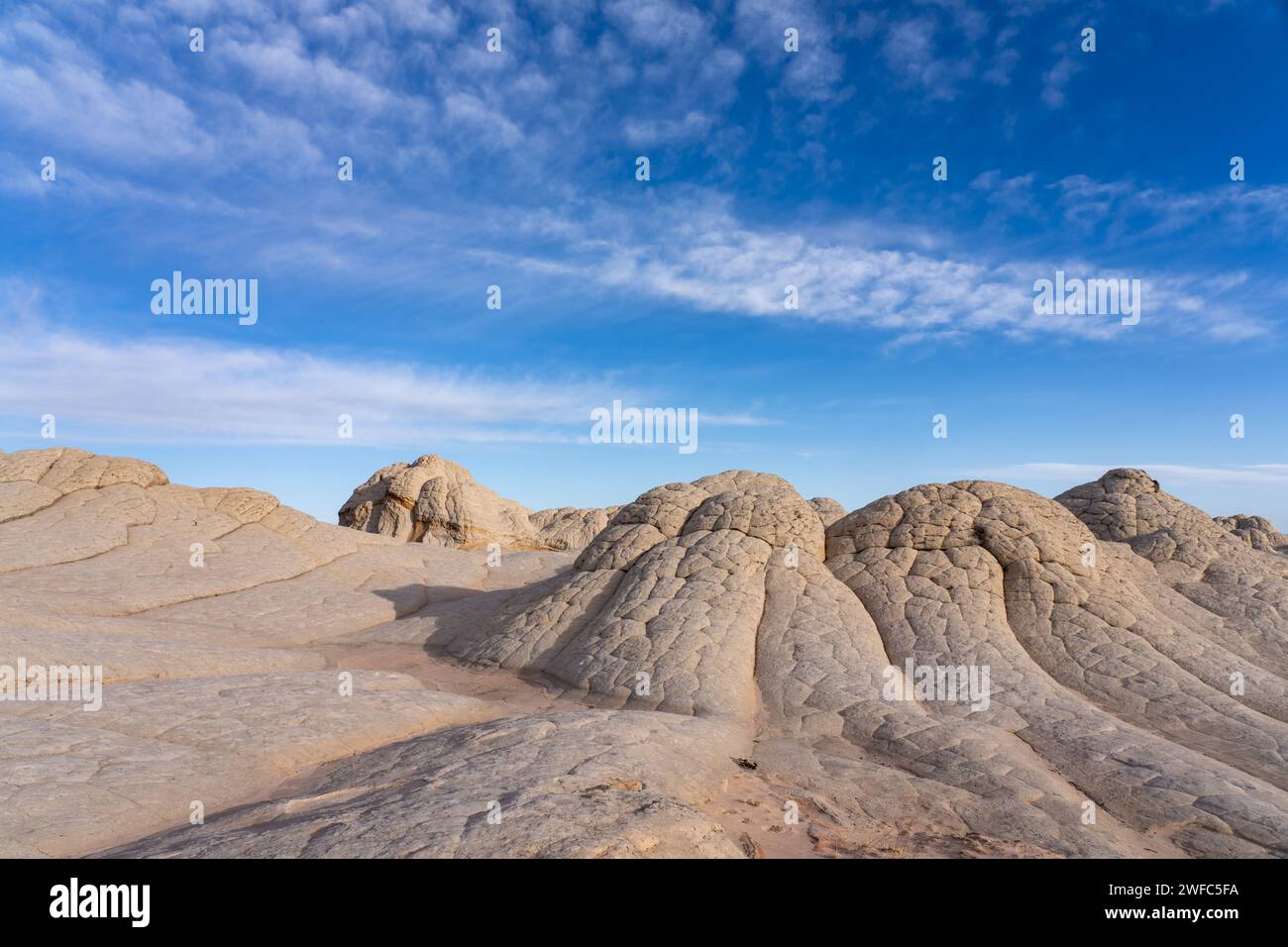 White pillow rock or brain rock sandstone in the White Pocket ...