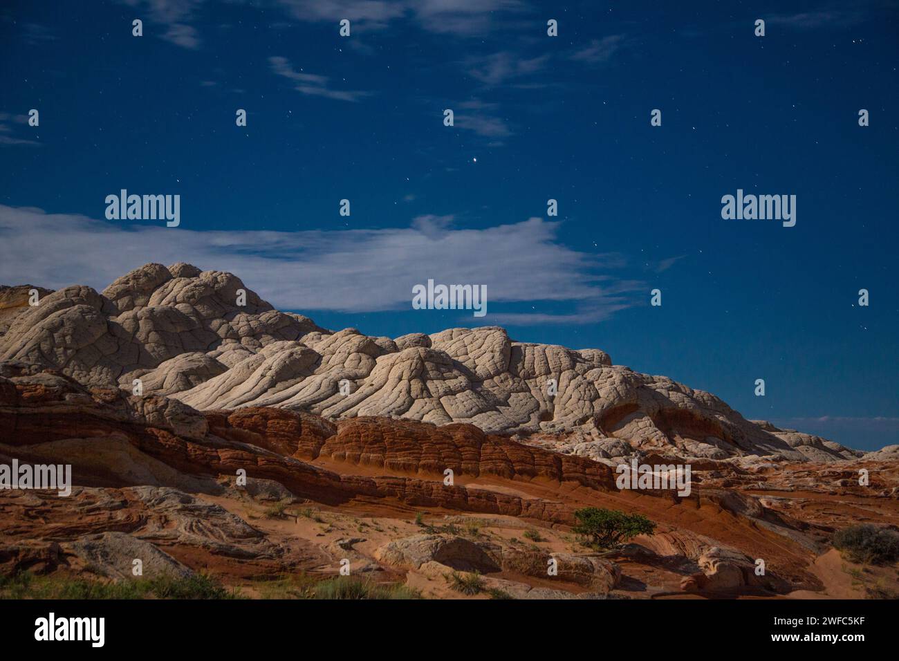Stars over the colorful moonlit sandstone in the White Pocket ...