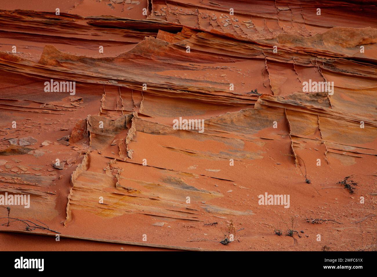 Very thin, fragile sandstone fins in Navajo sandstone formations. South ...