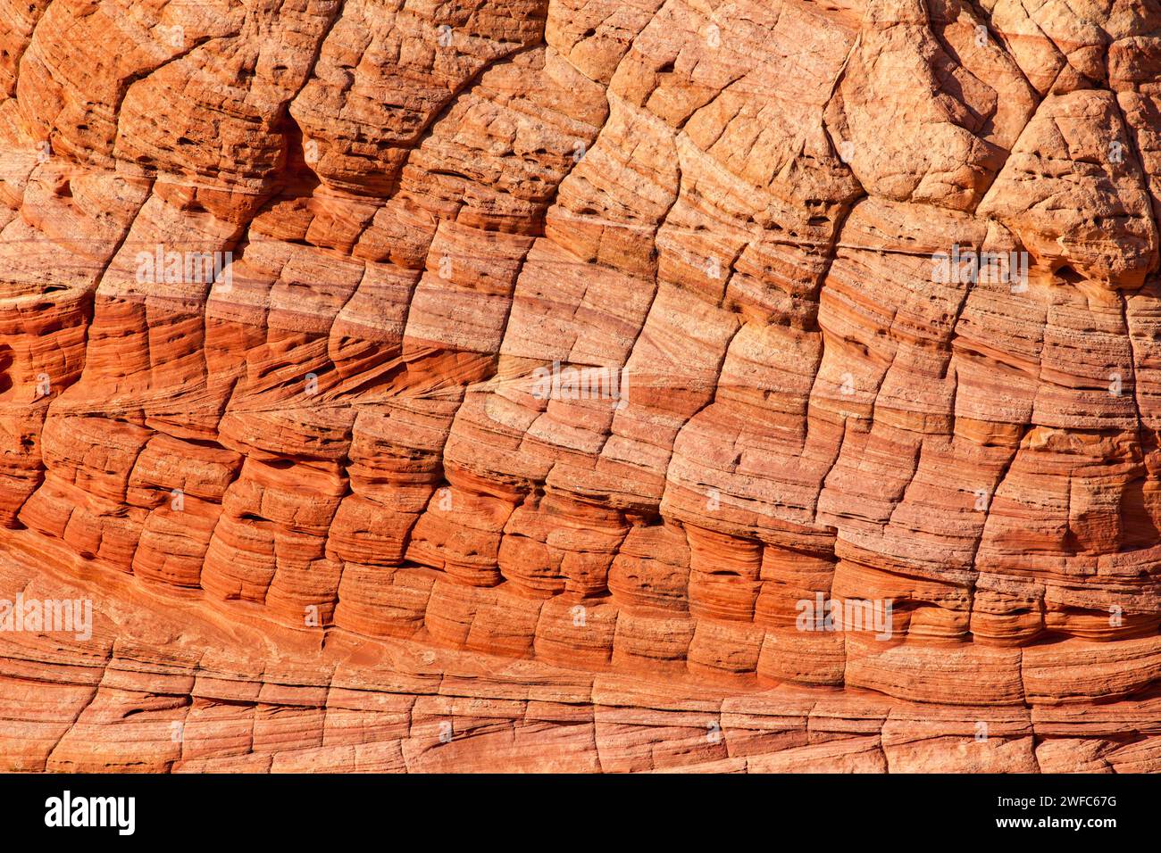 Cross-bedding patterns in the Navajo sandstone in South Coyote Buttes ...