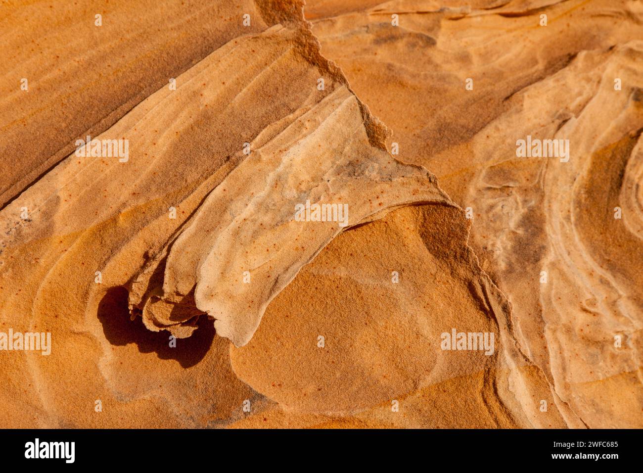 Cross-bedding patterns in the Navajo sandstone in South Coyote Buttes ...