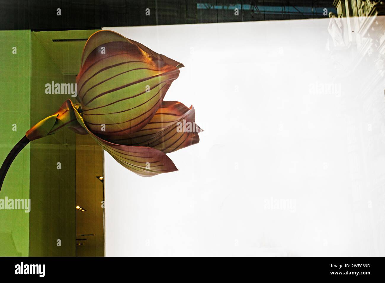 green huge flower near a white empty billboard Stock Photo - Alamy