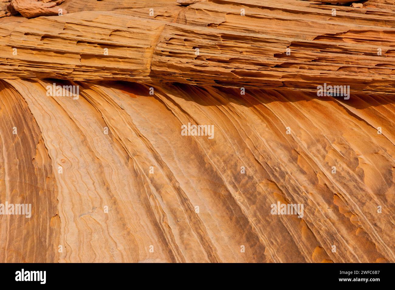 Cross-bedding patterns in the Navajo sandstone in South Coyote Buttes ...