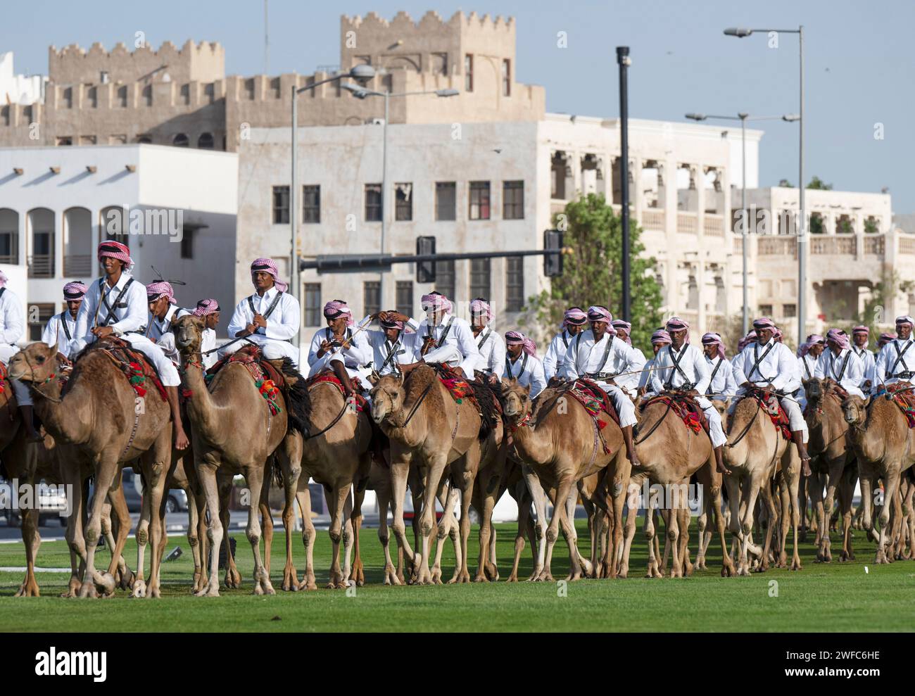 .Pic Shows Camels and riders in Doha the capital city and main ...