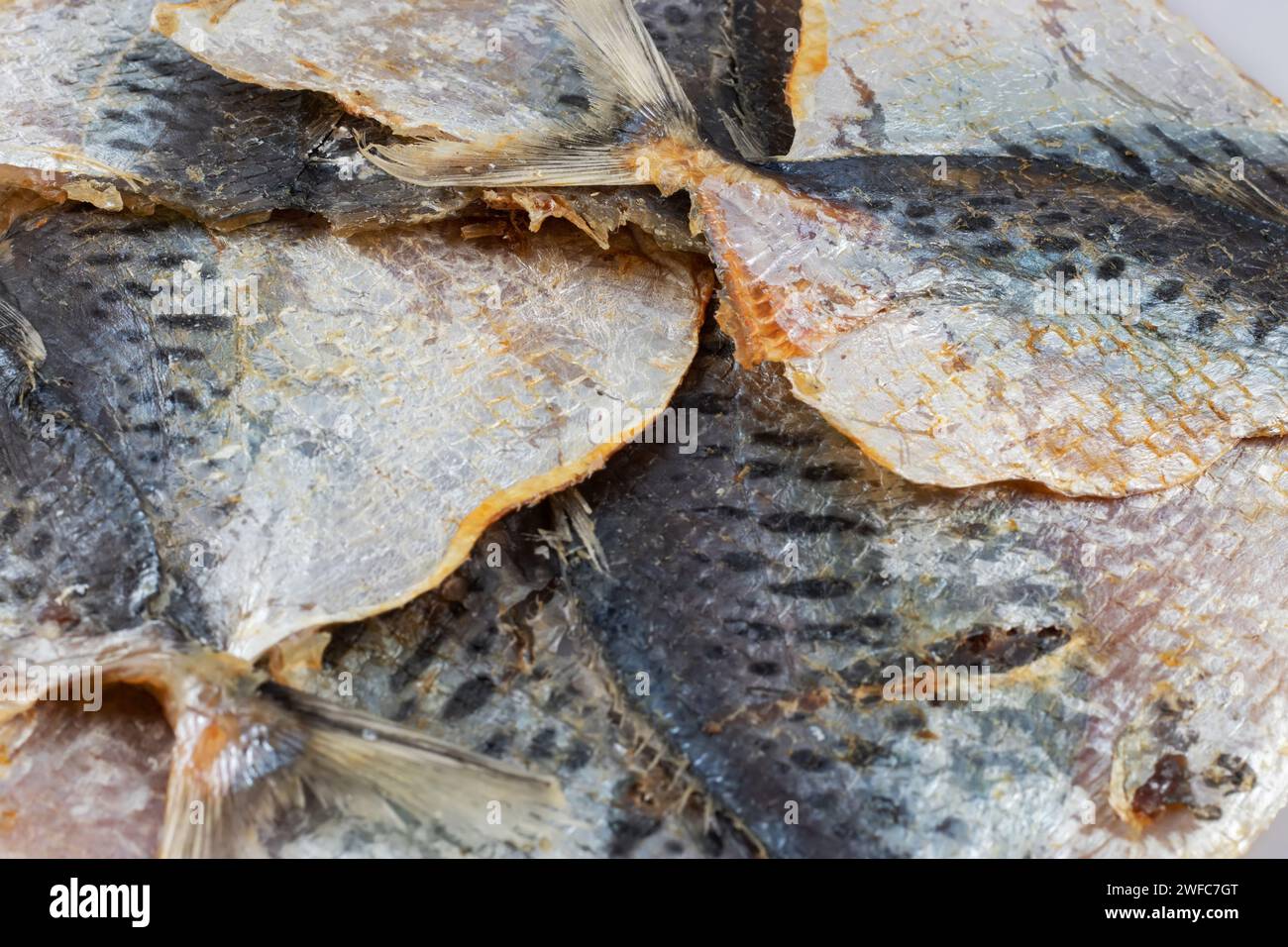 Yellowstripe scad hi-res stock photography and images - Alamy