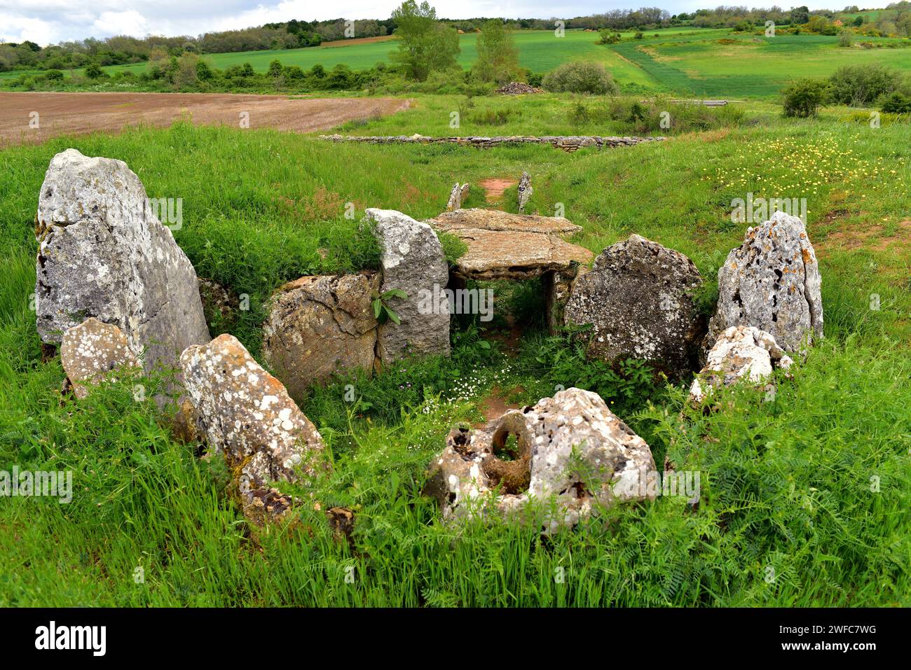 Dolmen de la cotorrita hi-res stock photography and images - Alamy
