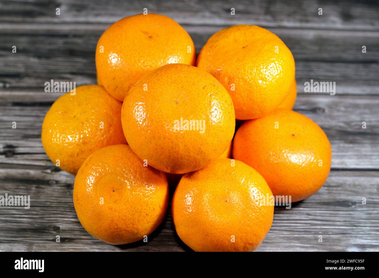 The mandarin orange (Citrus reticulata), also known as the mandarin or ...