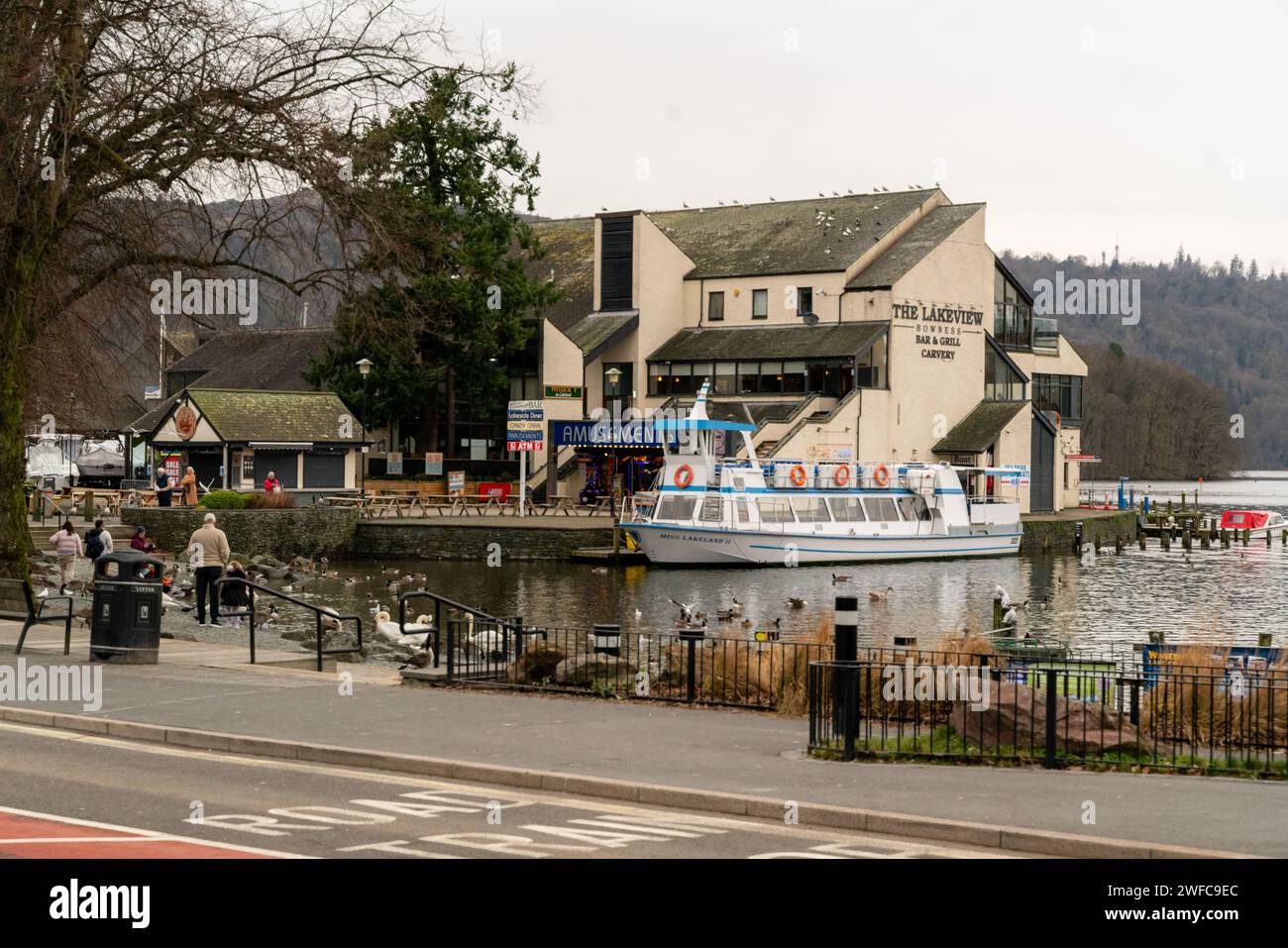 Windermere birds lake district hi-res stock photography and images - Alamy
