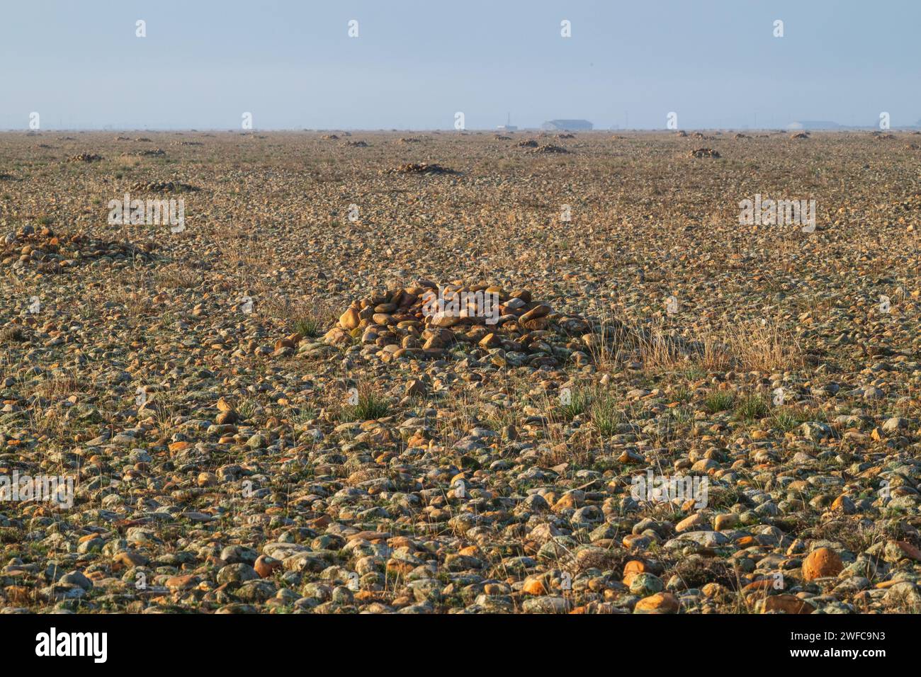 Coussouls de crau hi-res stock photography and images - Alamy