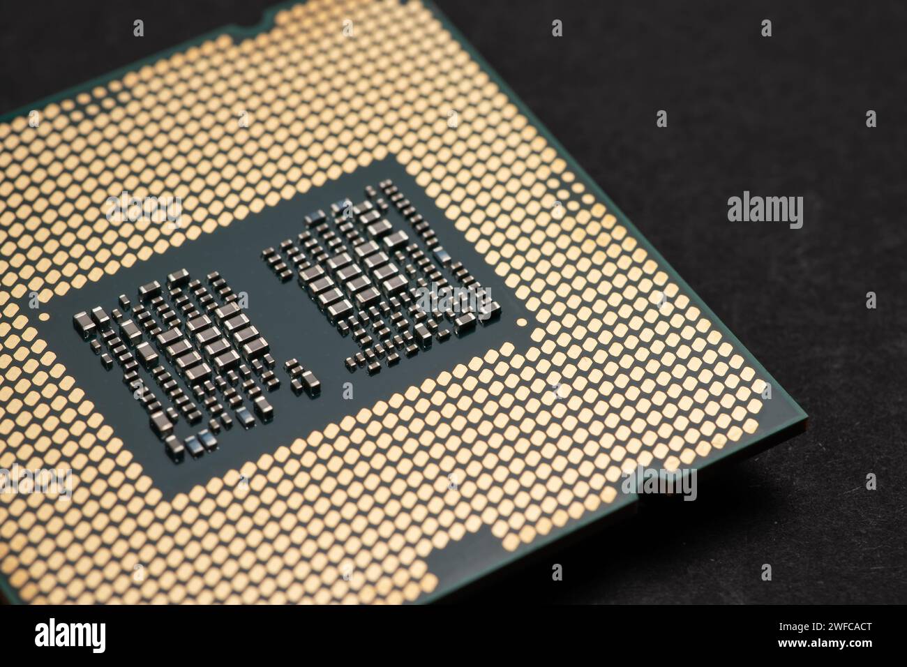 cpu gold pins microchip processor computer component technology. Macro photography Central ...