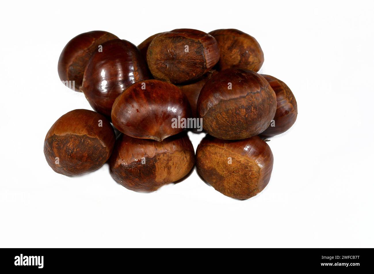 Chestnuts, the deciduous trees and shrubs in the genus Castanea, in the ...
