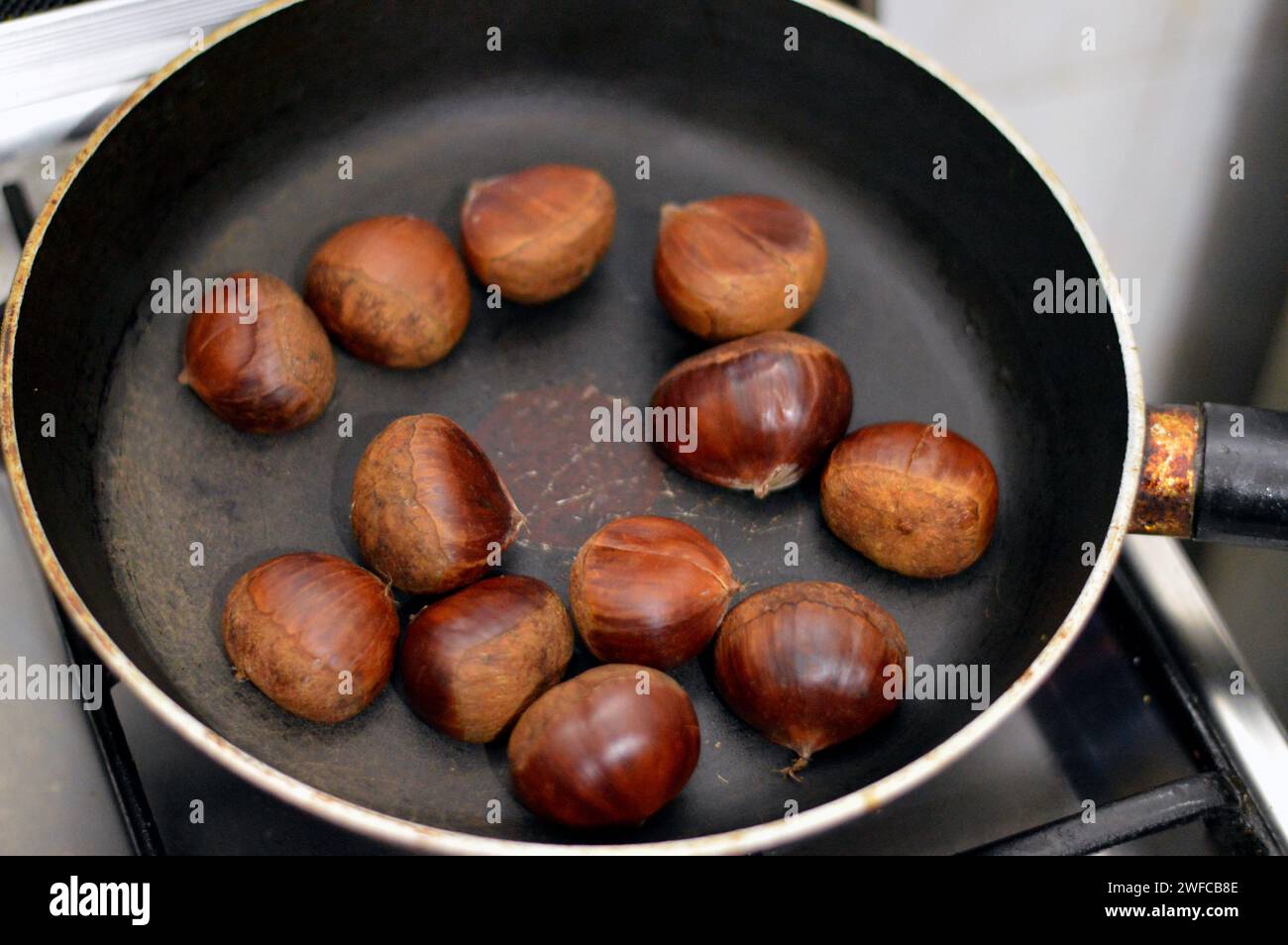Chestnuts, the deciduous trees and shrubs in the genus Castanea, in the ...