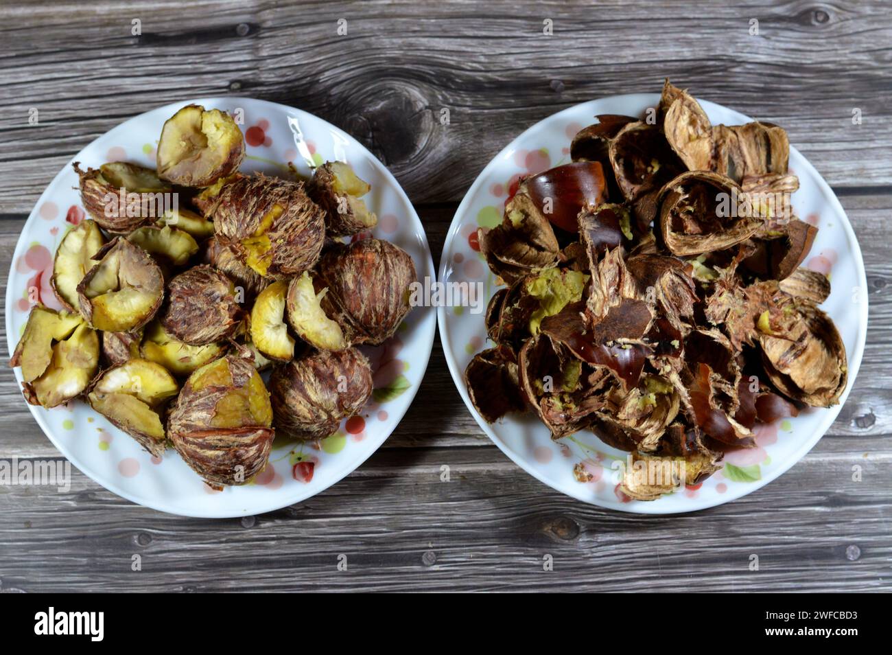 Chestnuts after shell removal, the deciduous trees and shrubs in the ...