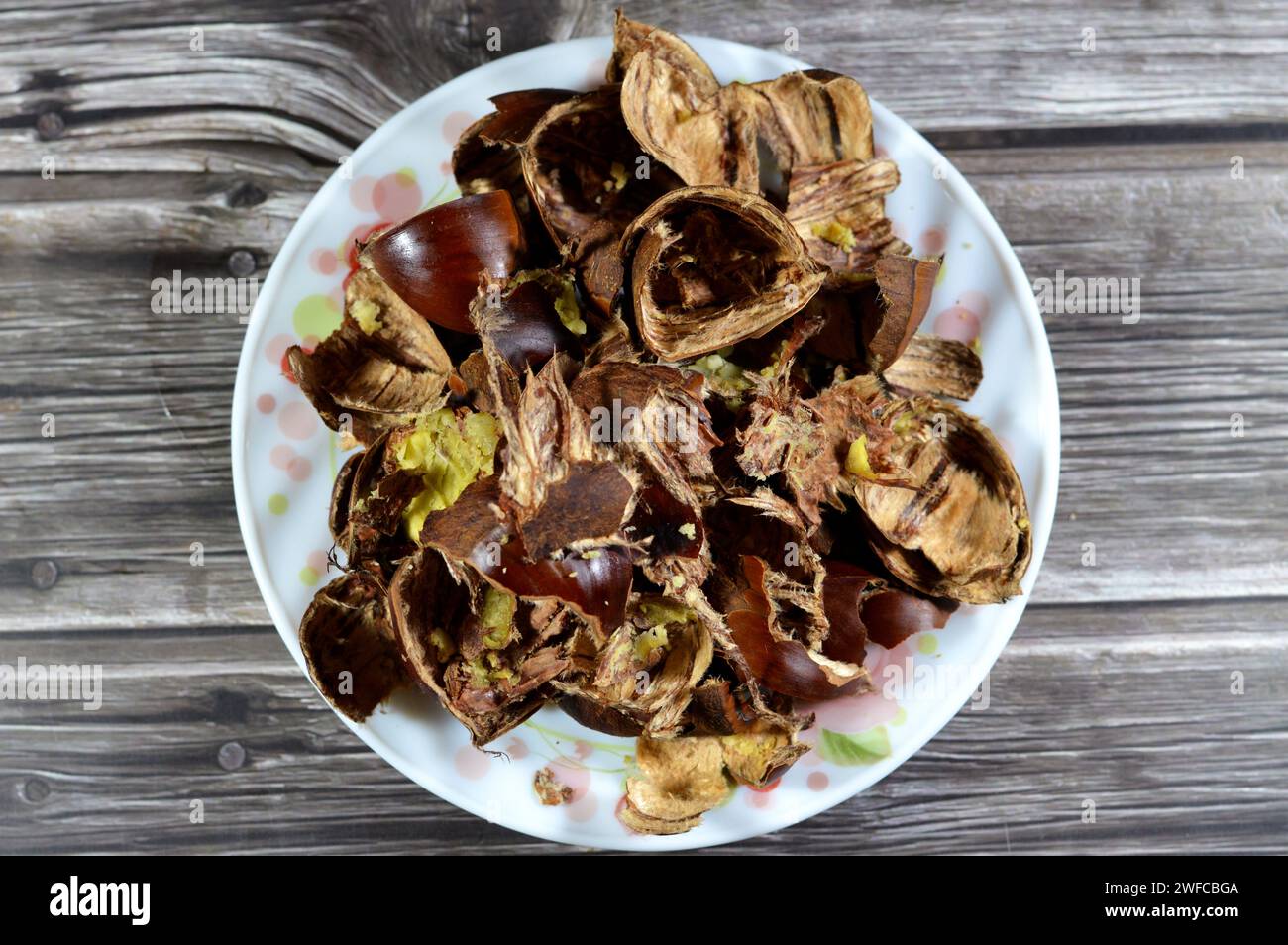 The waste of shell of chestnuts husks, the deciduous trees and shrubs ...