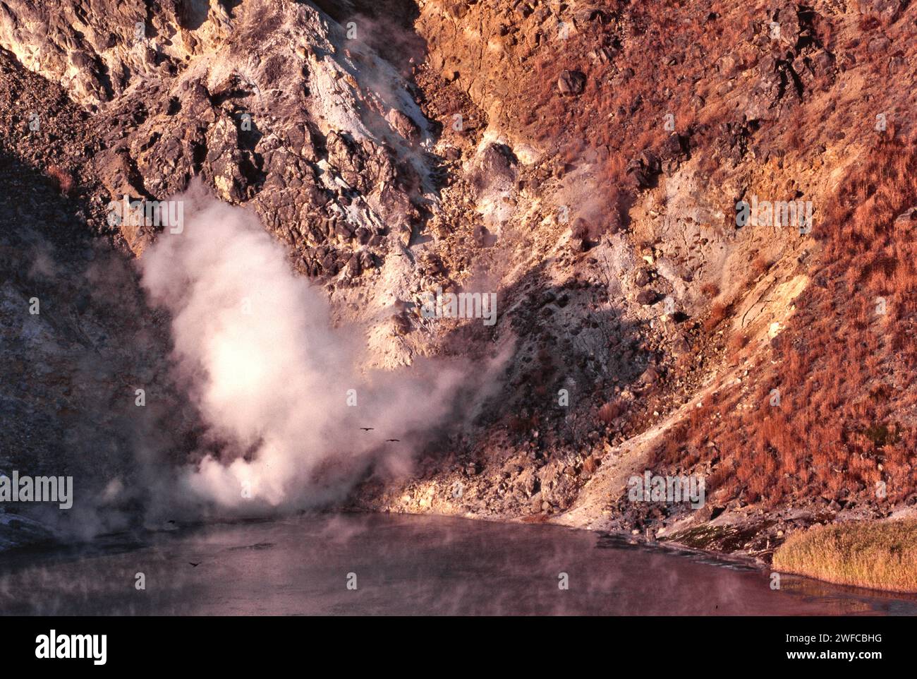 Hokkaido Japan volcanic area rocks and crows flying through the steam ...