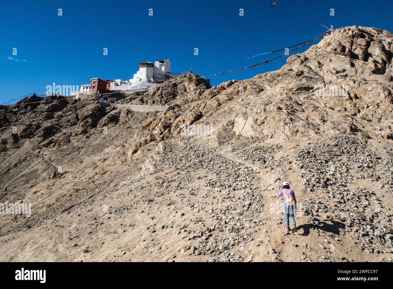 Trekking to Namgyal Tsemo Monastery in beautiful light, Leh, Ladakh ...
