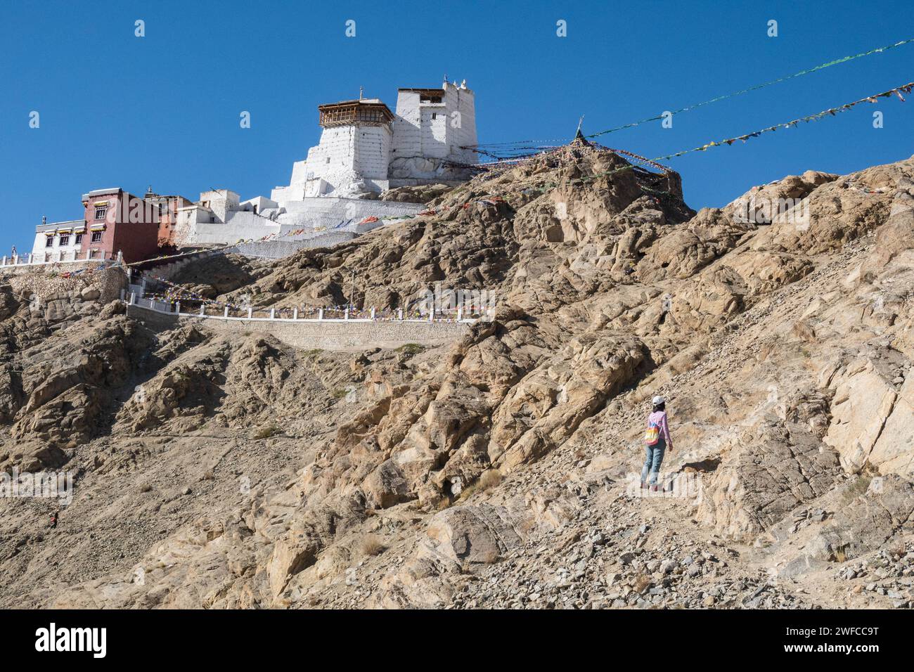 Trekking to Namgyal Tsemo Monastery in beautiful light, Leh, Ladakh ...