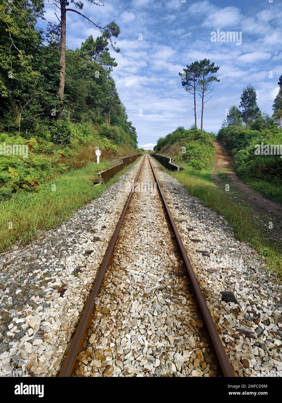 railway track stretches forward, surrounded by greenery and trees under ...