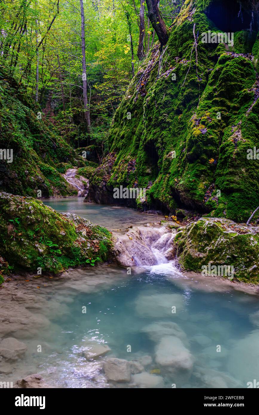 Banjski potok - Dučalovački potok, Cacak, Serbia Stock Photo - Alamy