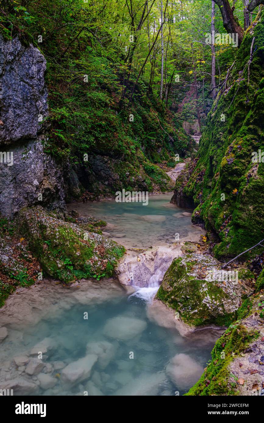 Banjski potok - Dučalovački potok, Cacak, Serbia Stock Photo - Alamy