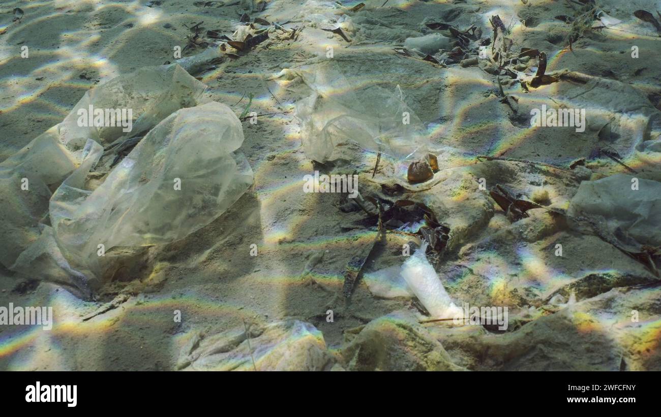 Plastic garbage lies on sandy-silty bottom of sea in shallow water on ...