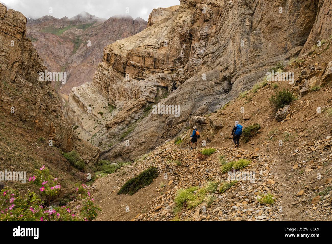 Trekking to Lingshed Sumdo, Zanskar, Ladakh, India Stock Photo - Alamy