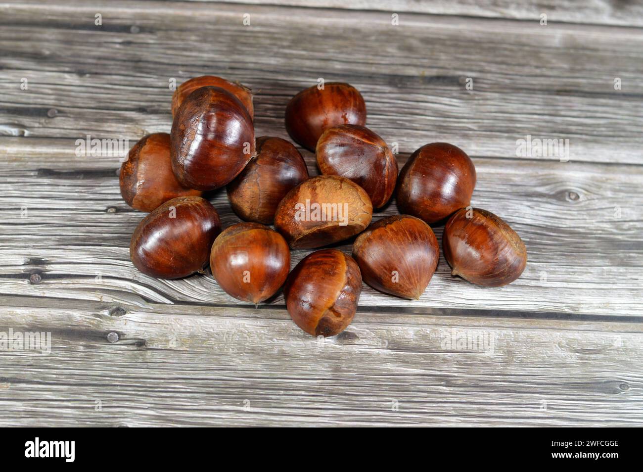 Chestnuts, the deciduous trees and shrubs in the genus Castanea, in the ...