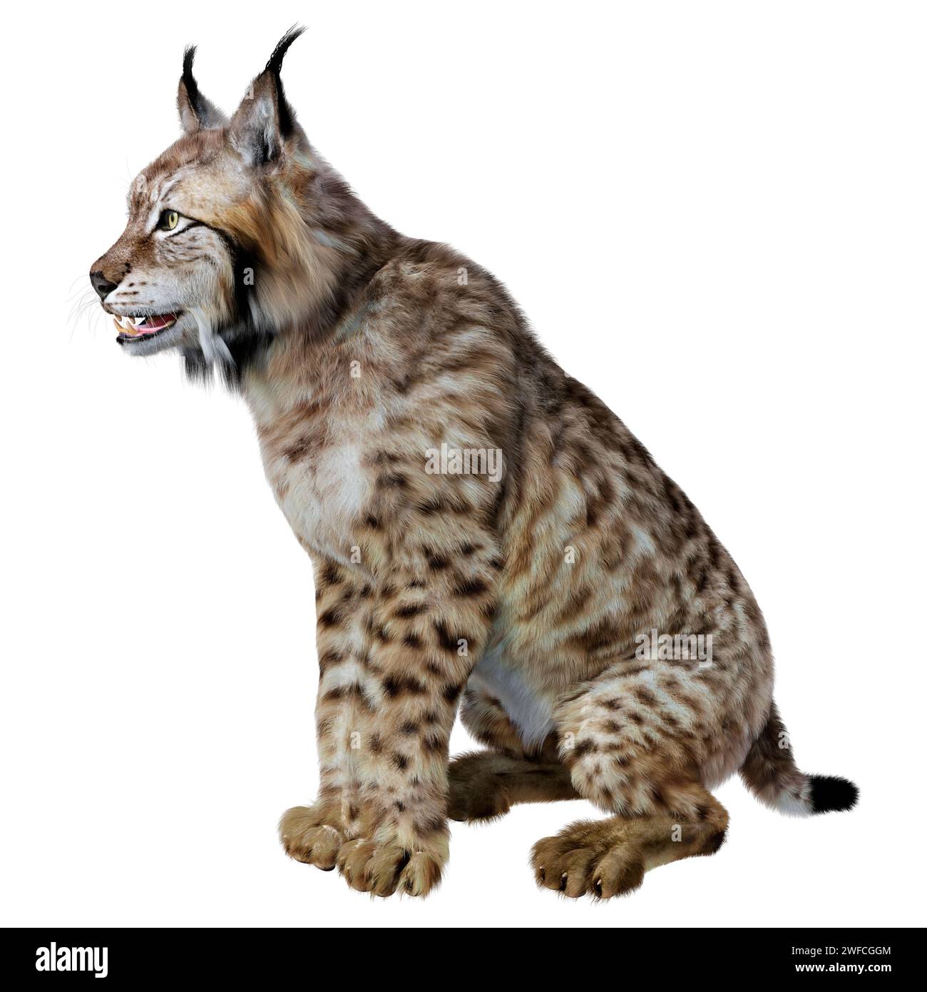 3D rendering of a wild animal lynx isolated on white background Stock ...