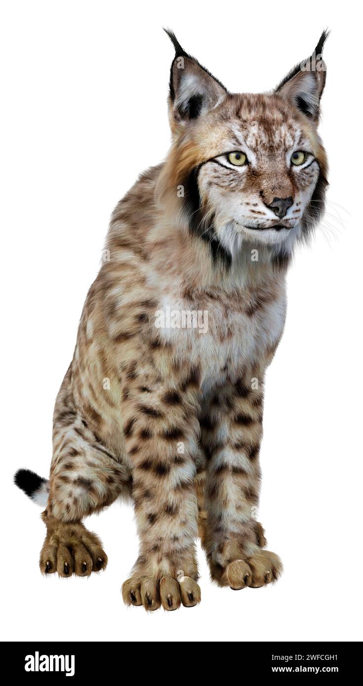 3D rendering of a wild animal lynx isolated on white background Stock ...