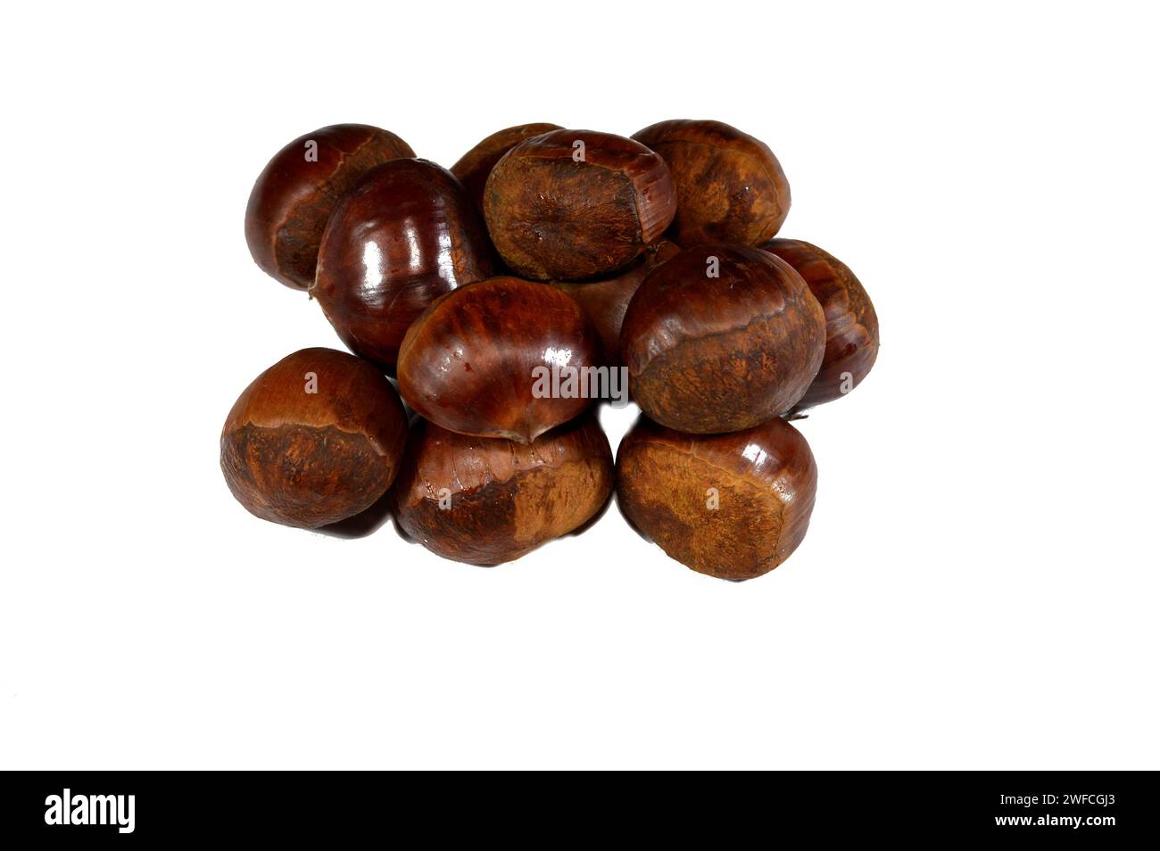 Chestnuts, the deciduous trees and shrubs in the genus Castanea, in the ...