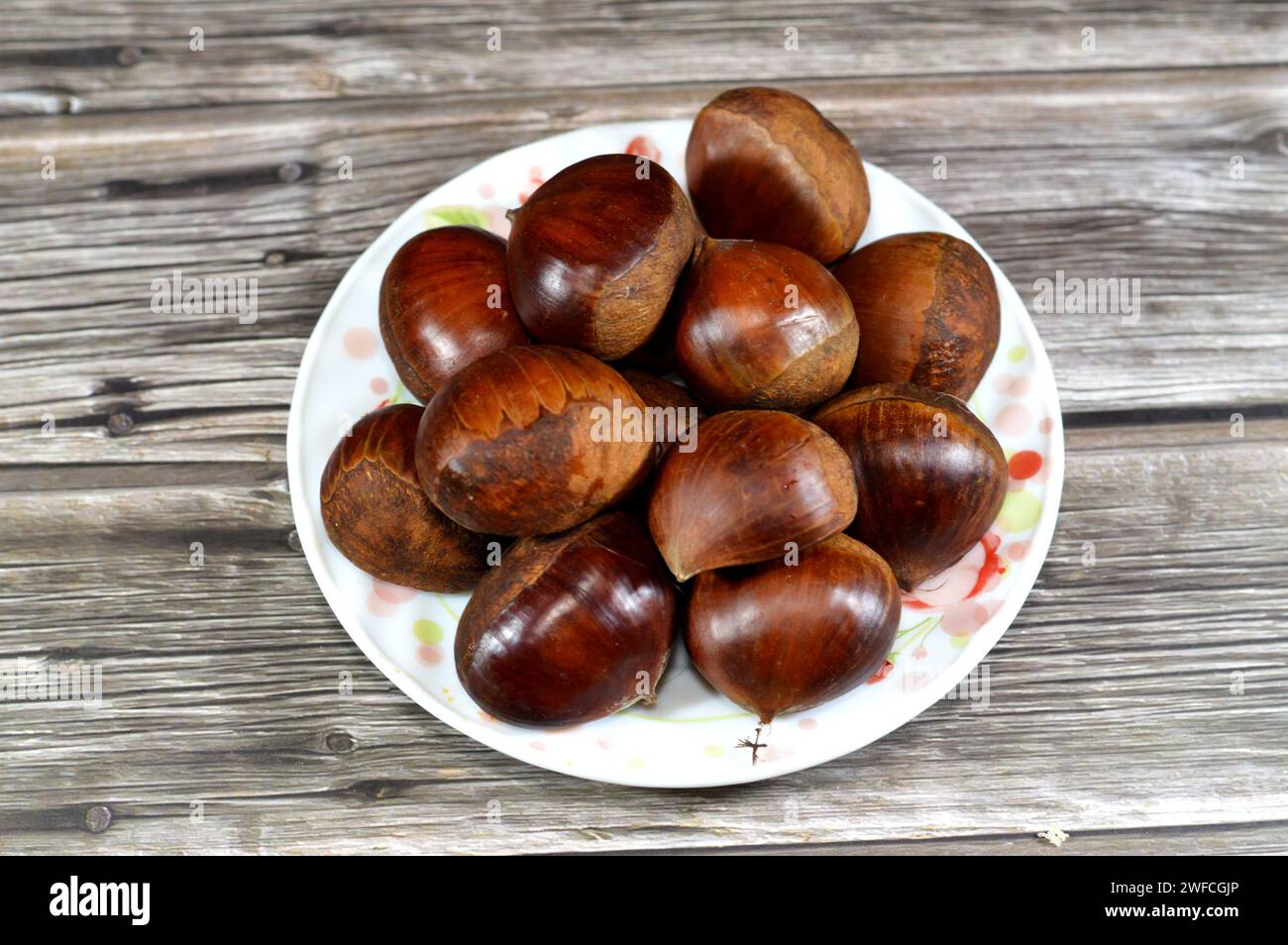 Chestnuts, the deciduous trees and shrubs in the genus Castanea, in the ...