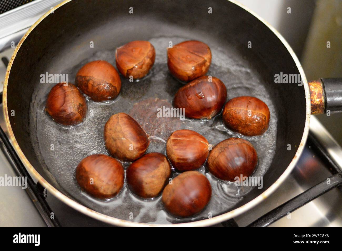 Chestnuts, the deciduous trees and shrubs in the genus Castanea, in the ...