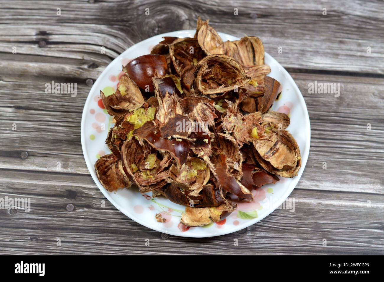 The waste of shell of chestnuts husks, the deciduous trees and shrubs ...