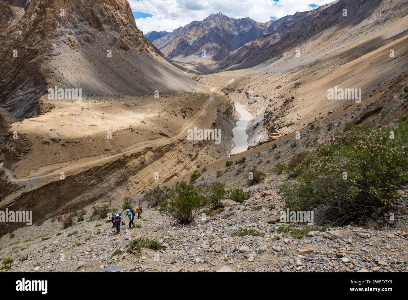 Trekking to Zanskar along the Tsarab Chu River, Ladakh, India Stock ...