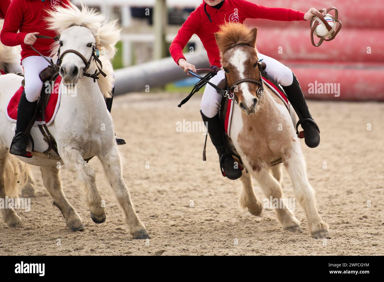 Children on horses playing horseball Stock Photo - Alamy