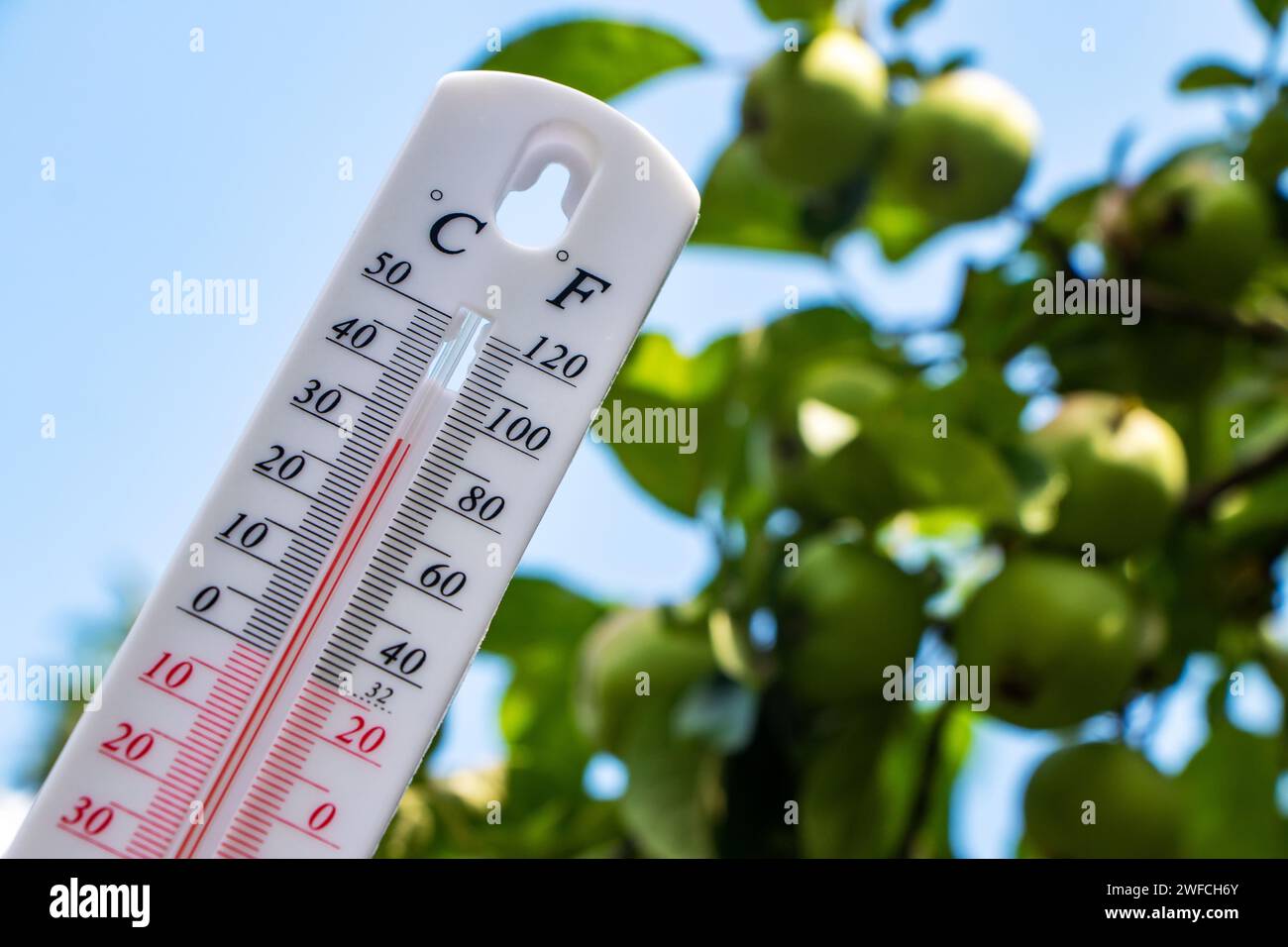Thermometer on the background of green apple. Summer heat or global ...