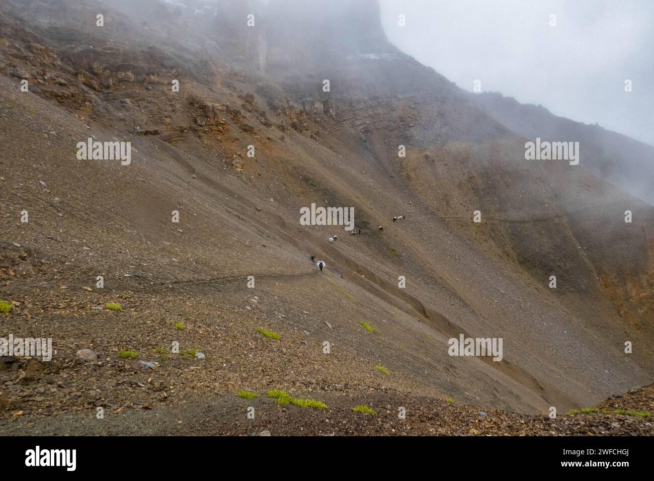 Navigating a precipitous trail in Zanskar, Ladakh, India Stock Photo ...