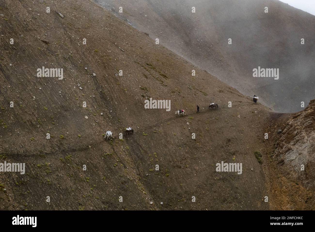 Navigating a precipitous trail in Zanskar, Ladakh, India Stock Photo ...